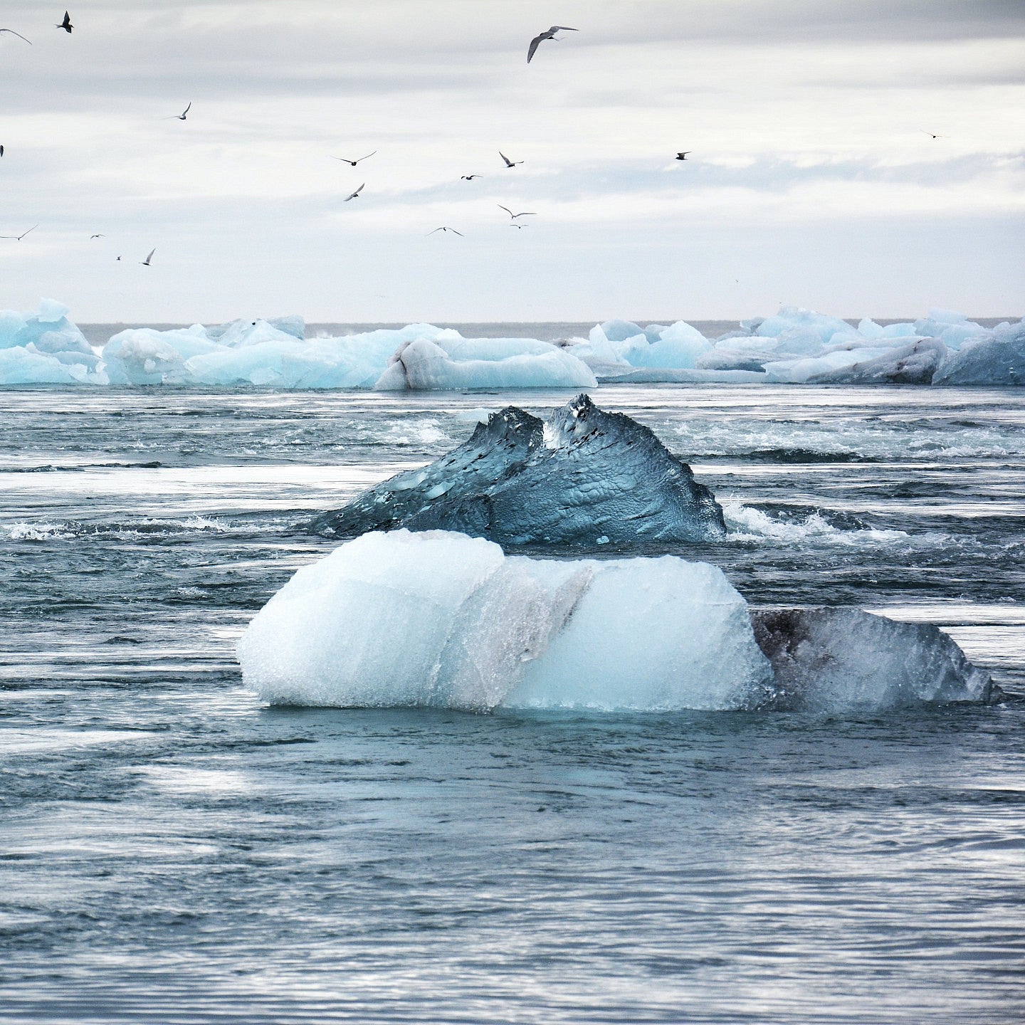 ODS Resources | Undergraduate Research and Distinguished Scholarships